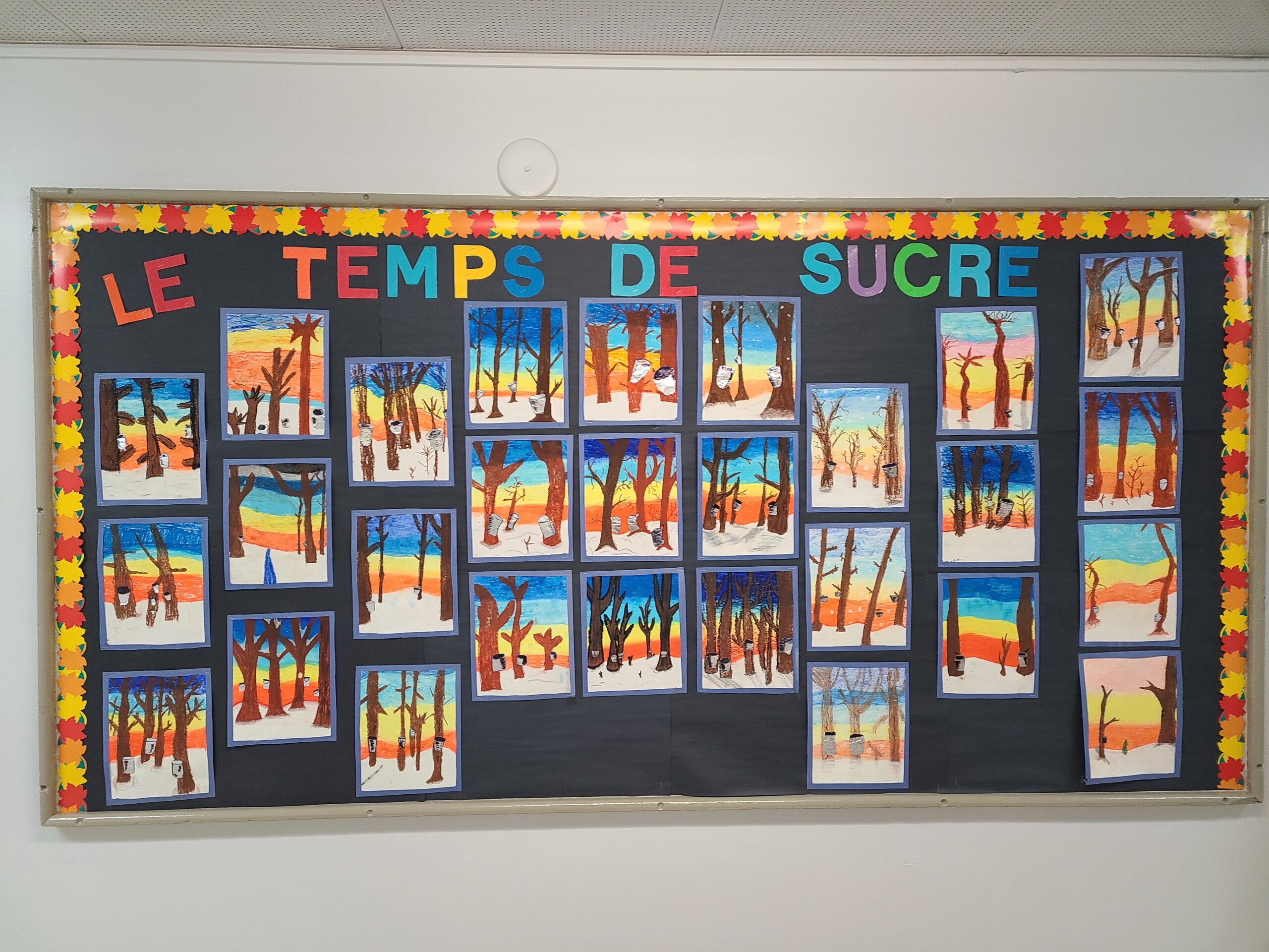 Students Learn Tradition of Maple Sugaring at Algonquin Avenue Public ...